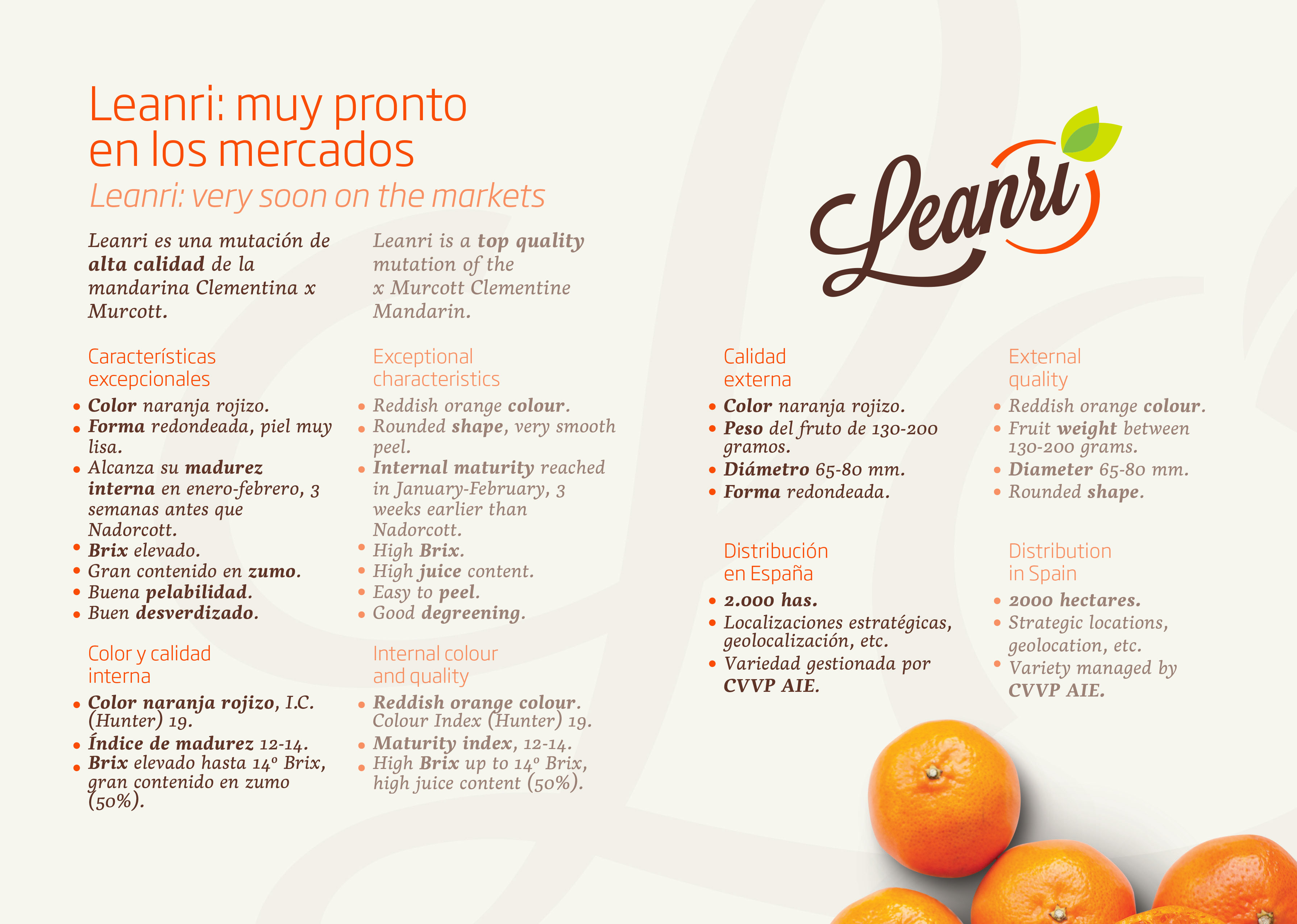 Leanri – cvvp